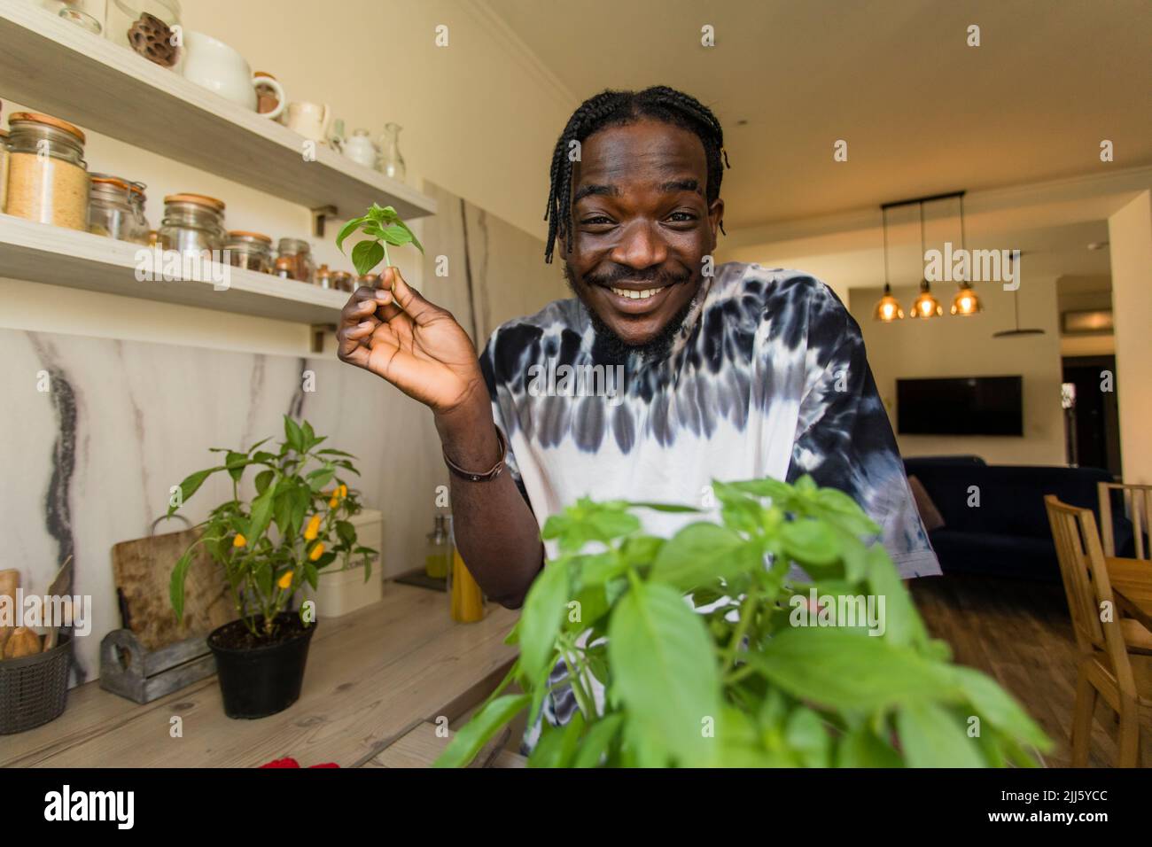 Man holding basil leaves hi-res stock photography and images - Alamy