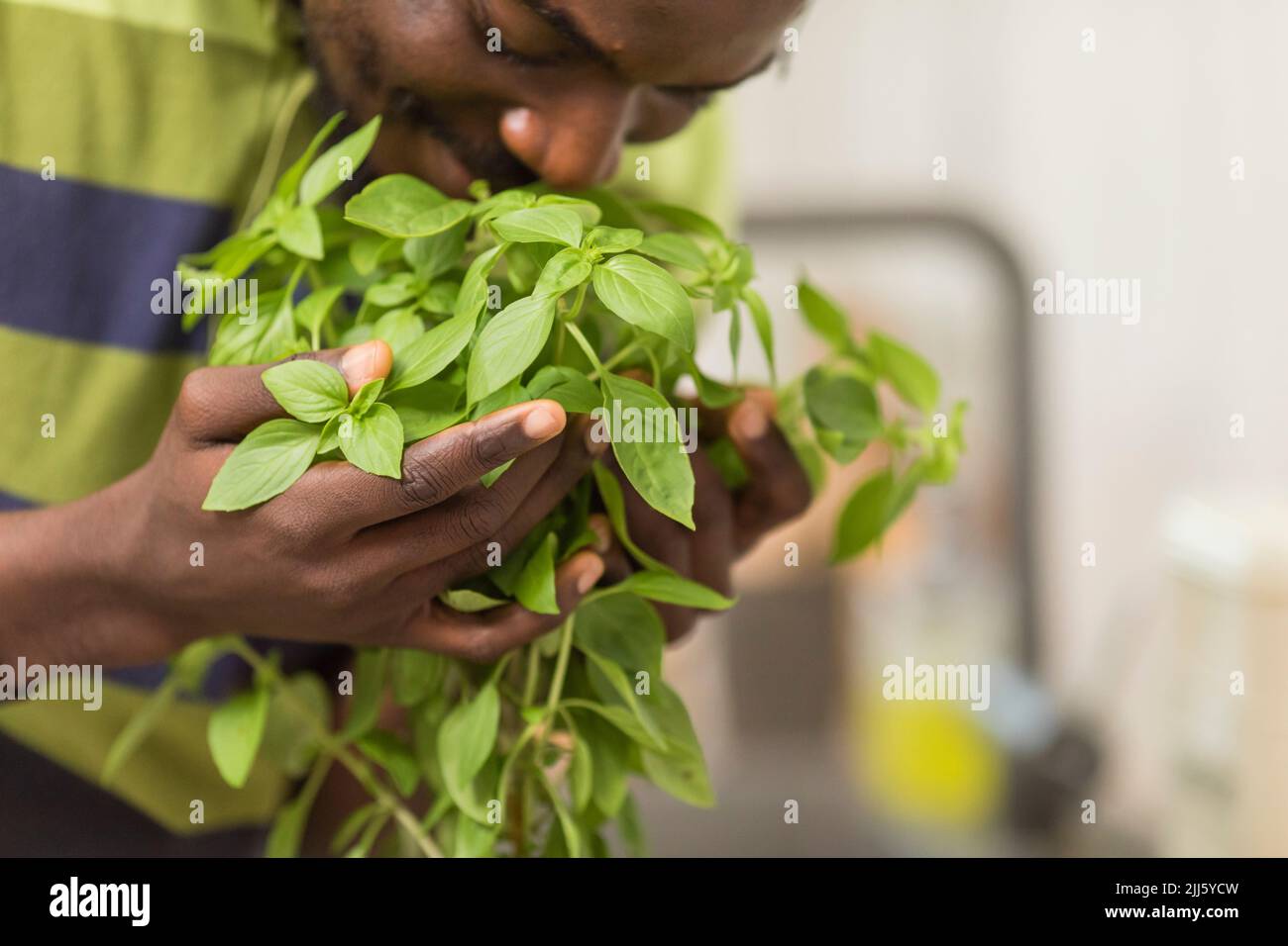 Man smelling herbs hi-res stock photography and images - Alamy