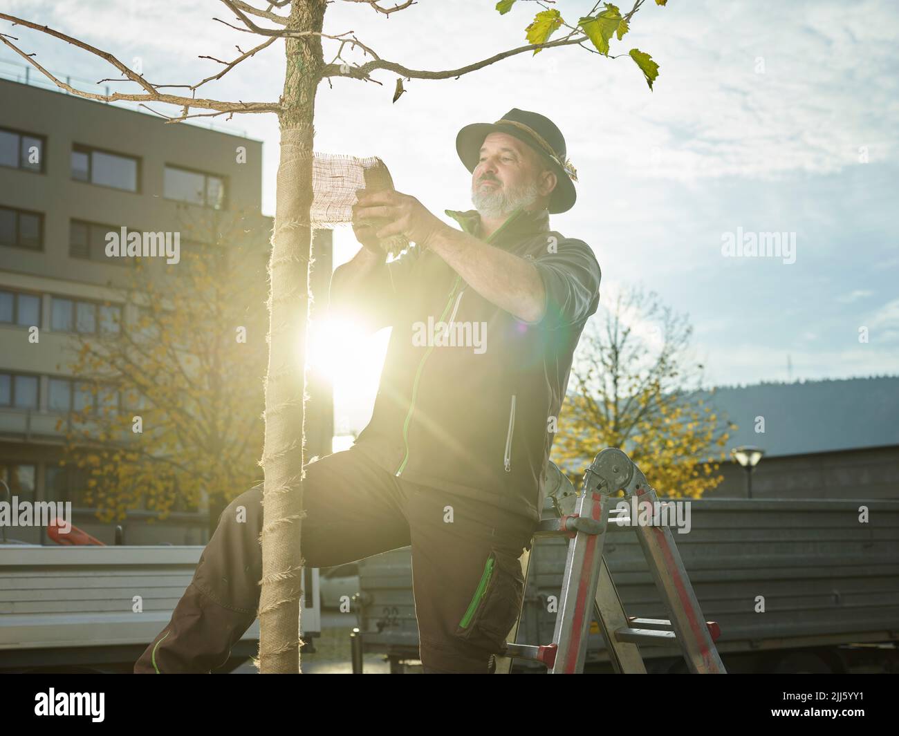 Back view professional gardener hi-res stock photography and images - Alamy