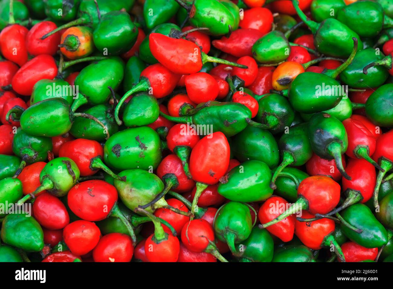 Red and green hot peppers background Stock Photo - Alamy