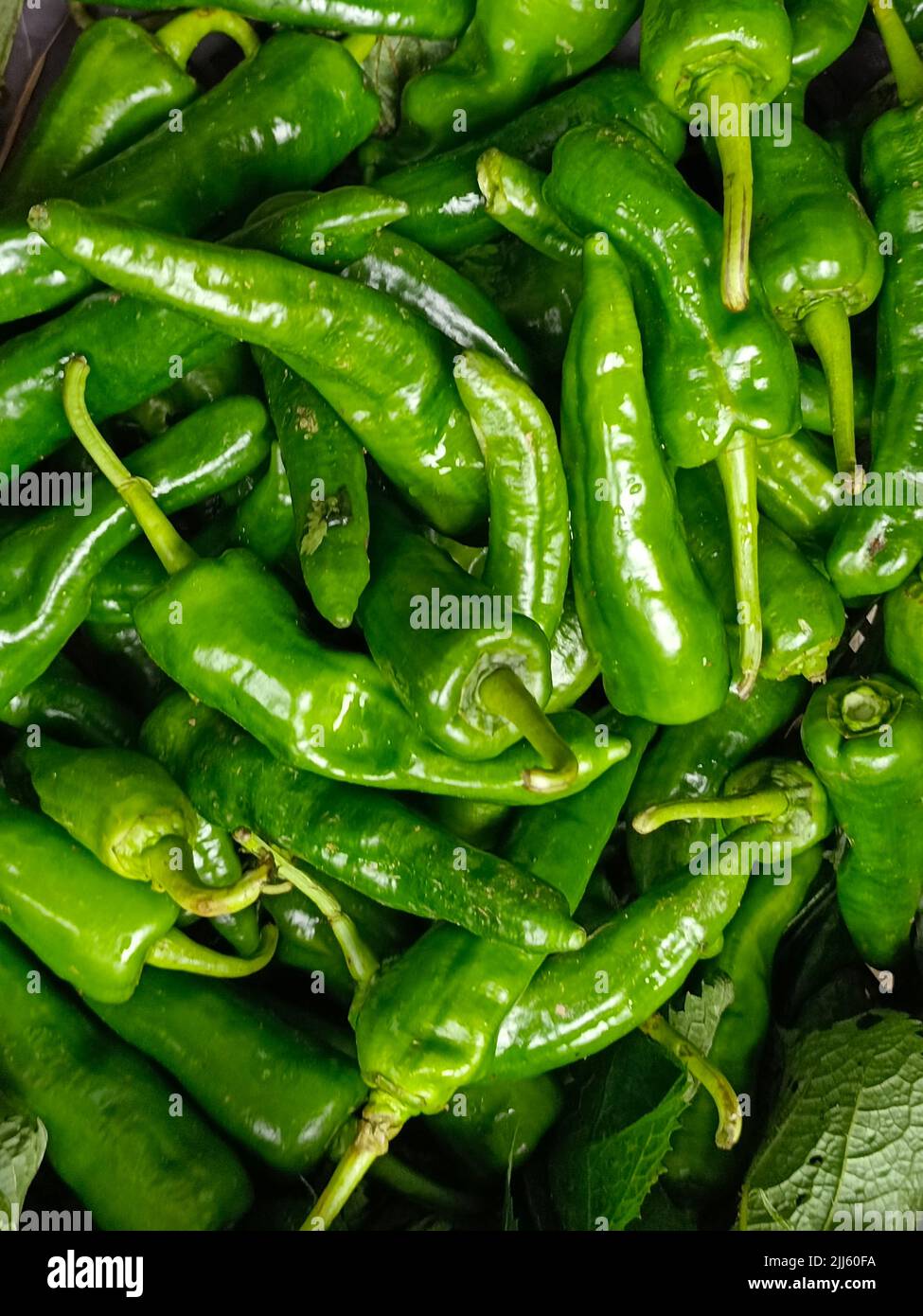 Green hot peppers background Stock Photo - Alamy