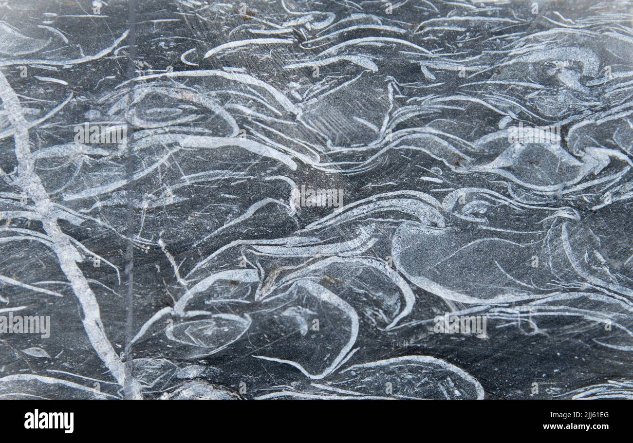 limestone cutted in half isolated over white background Stock Photo - Alamy