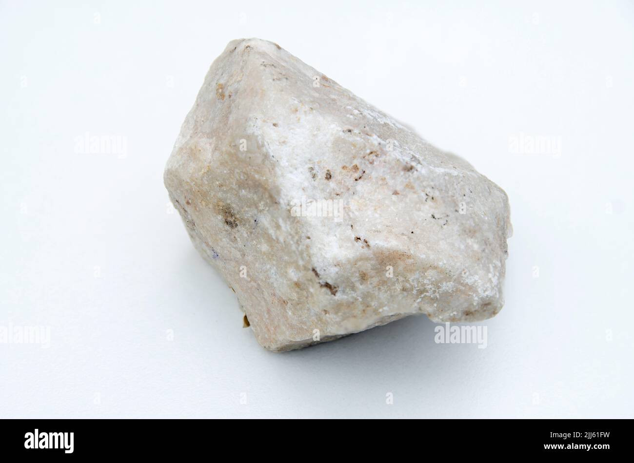 limestone with fossils isolated over white background Stock Photo - Alamy
