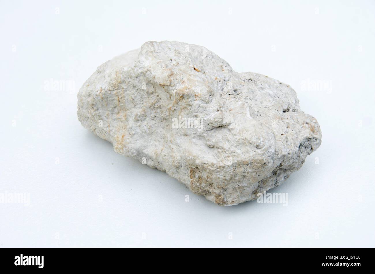limestone with fossils isolated over white background Stock Photo - Alamy