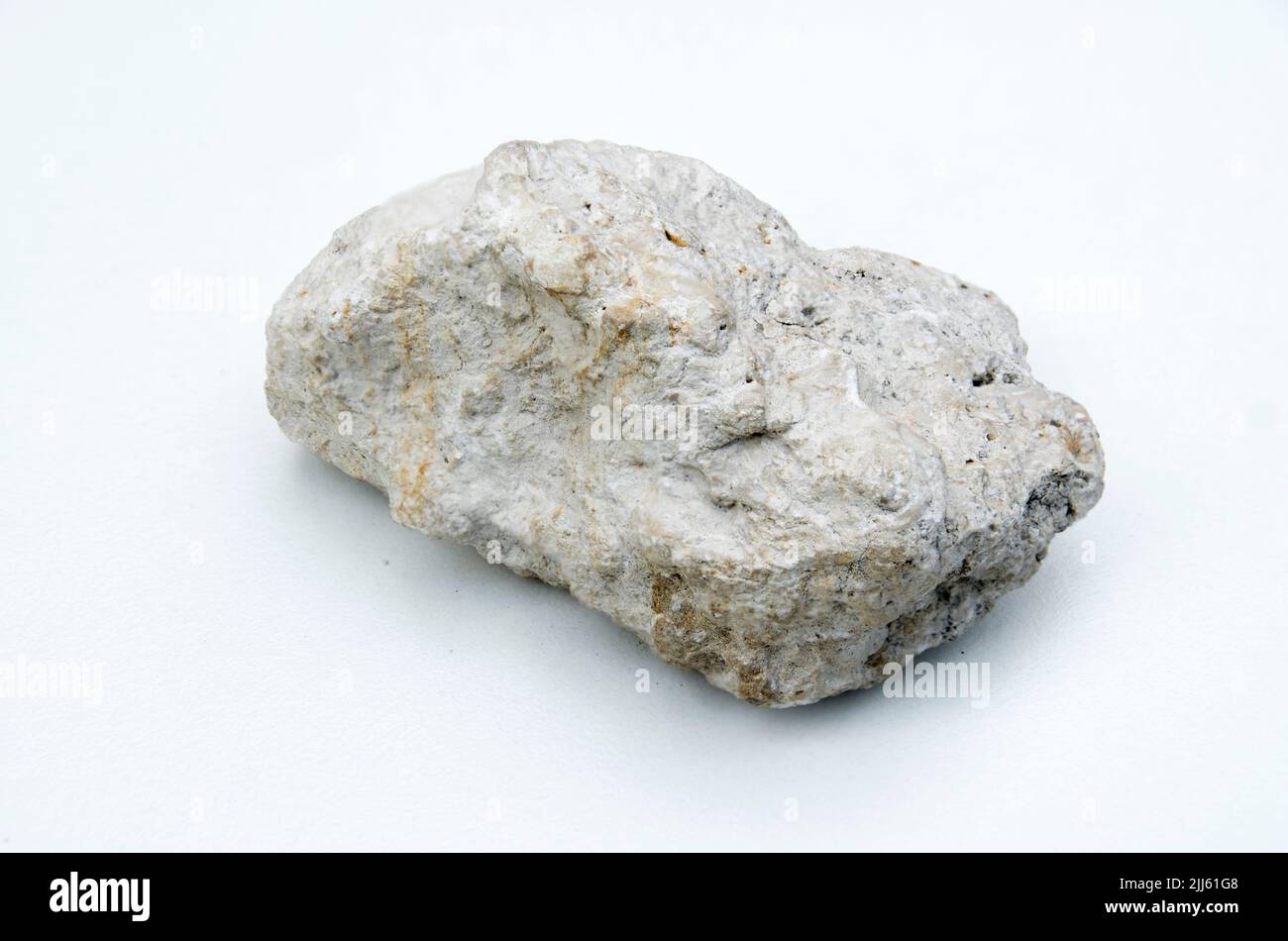 limestone with fossils isolated over white background Stock Photo - Alamy