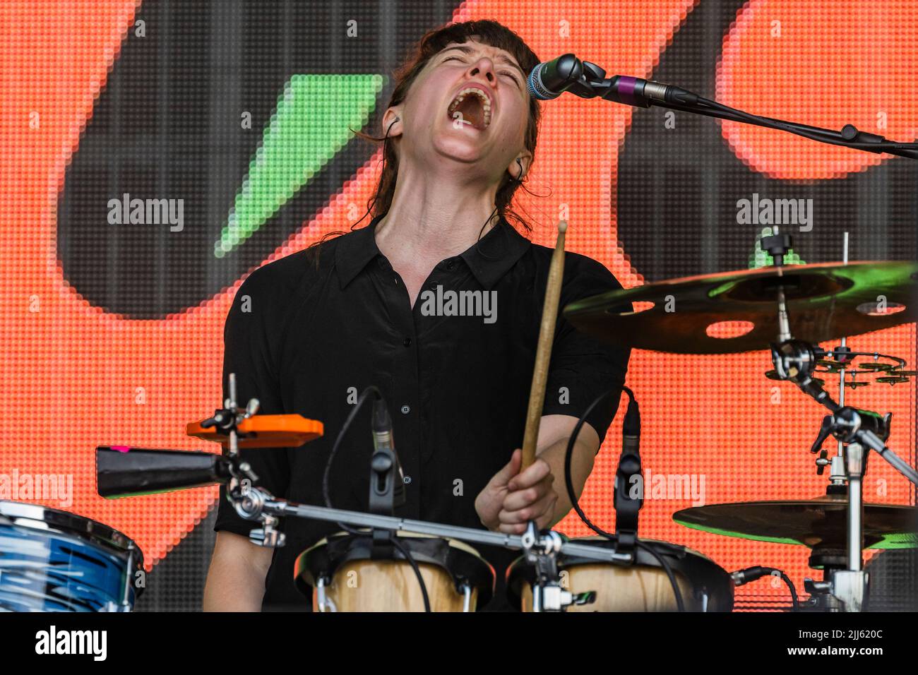 Serra petale hi-res stock photography and images - Alamy