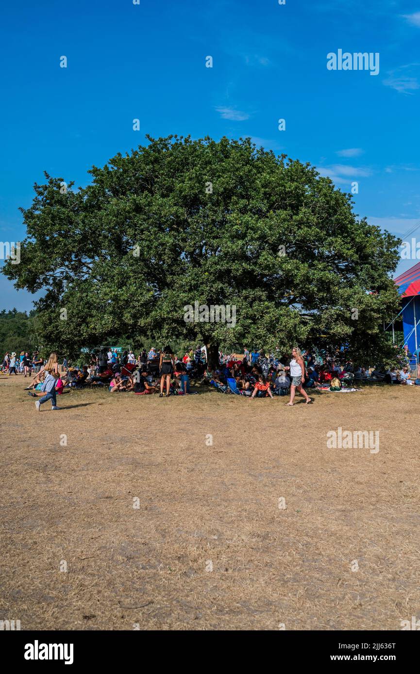 Henham Park, Suffolk, UK. 23rd July, 2022. The weather has heated up ...