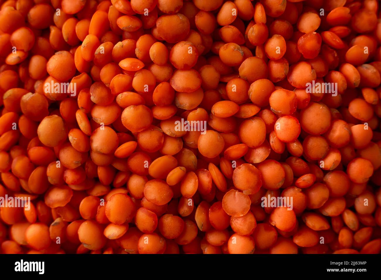 Dry red lentils very close. Red lentil grits. Dried orange lentil ...