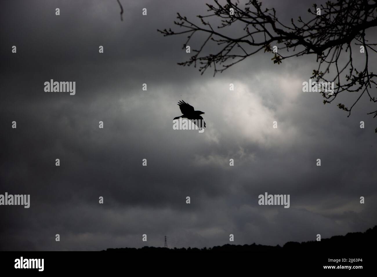 Flying through a storm hi-res stock photography and images - Alamy