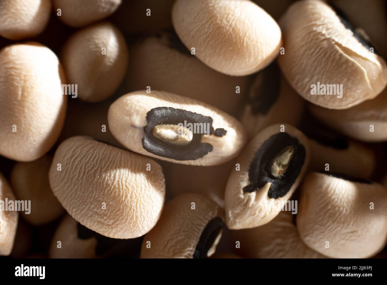 Beans bean black eyes bunch on a white background isolate. Gluten-free ...