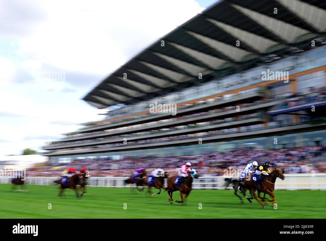 Call me ginger ascot hi-res stock photography and images - Alamy