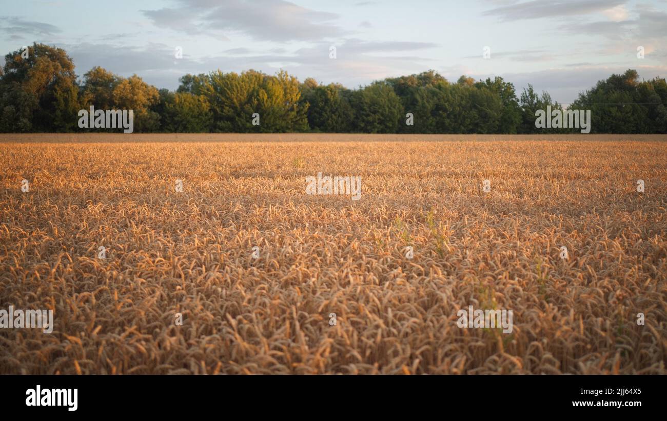 Aerial scene moving forward along hi-res stock photography and images ...
