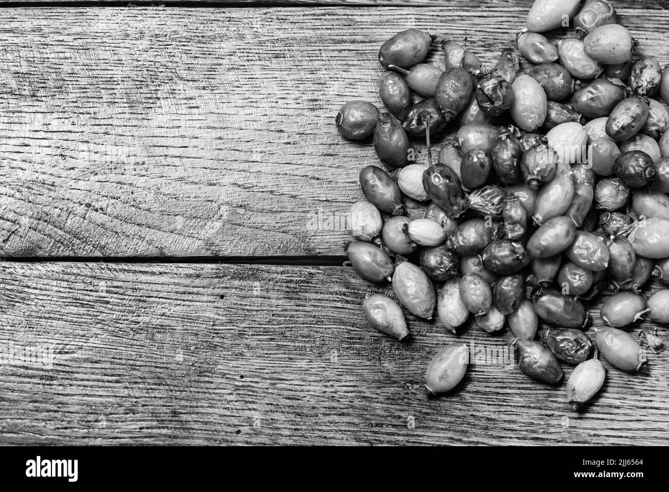 Rosehip fruit rose plant Black and White Stock Photos & Images - Alamy