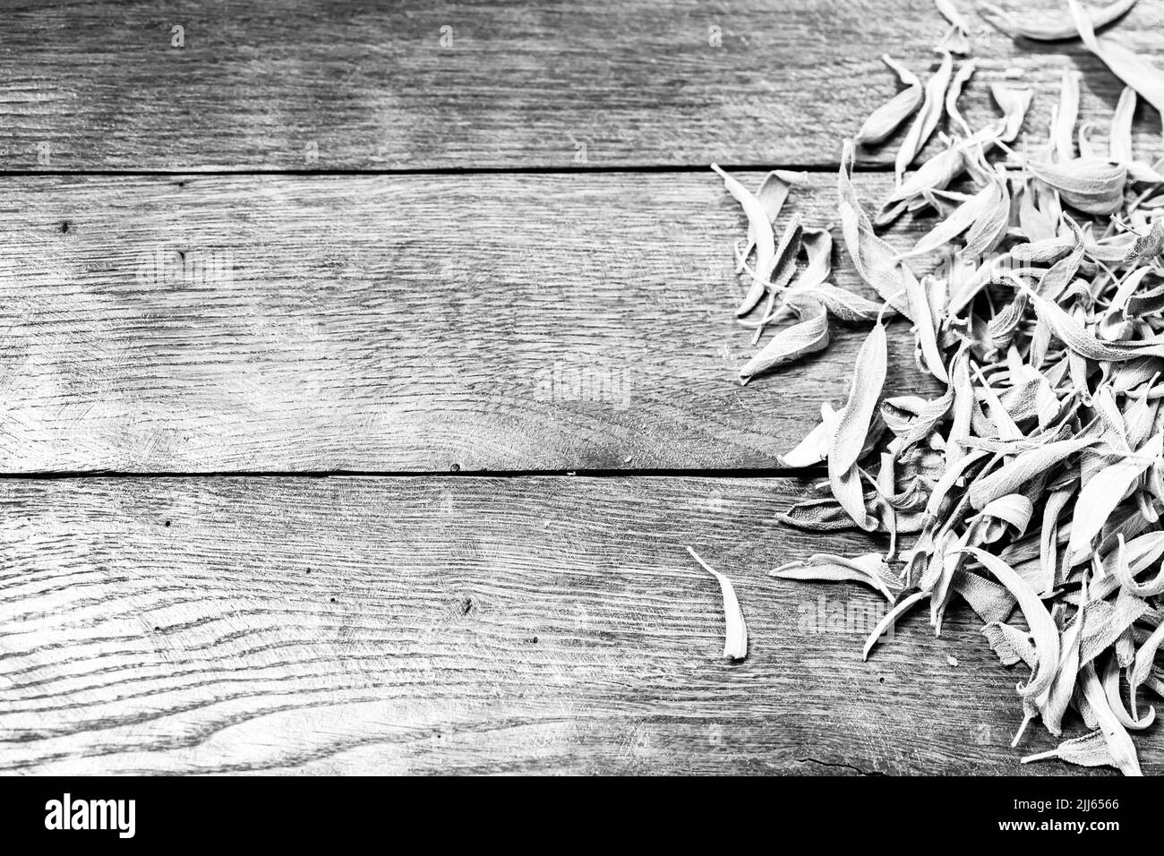 Green tea cup leaves Black and White Stock Photos & Images - Alamy