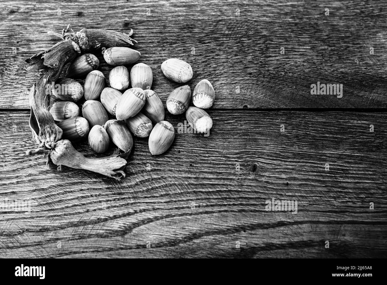 Hazelnut tree leaves Black and White Stock Photos & Images - Alamy
