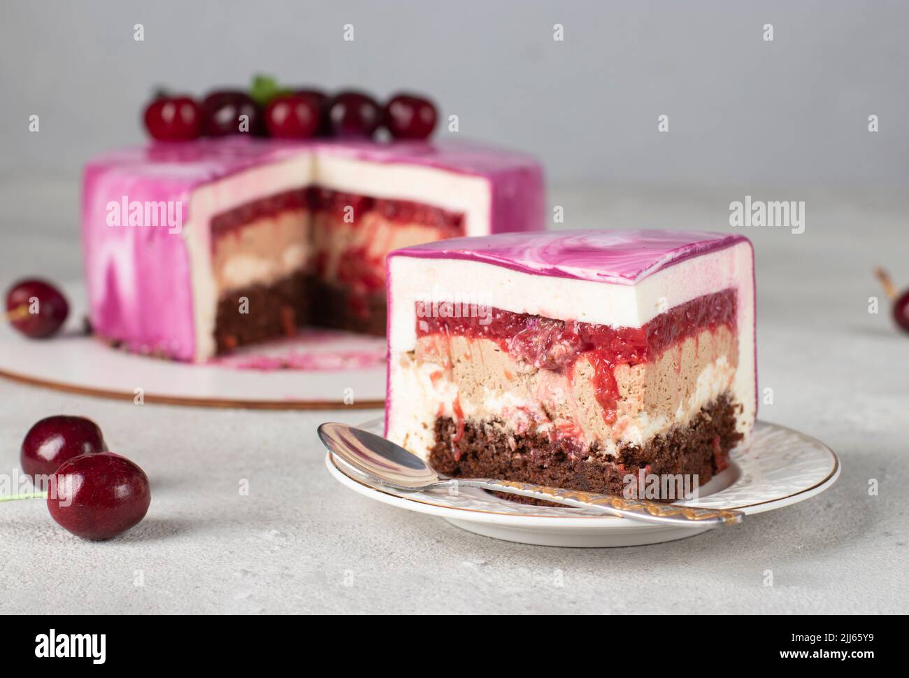 Piece of mousse cake with chocolate biscuit, vanilla and cream mousse ...