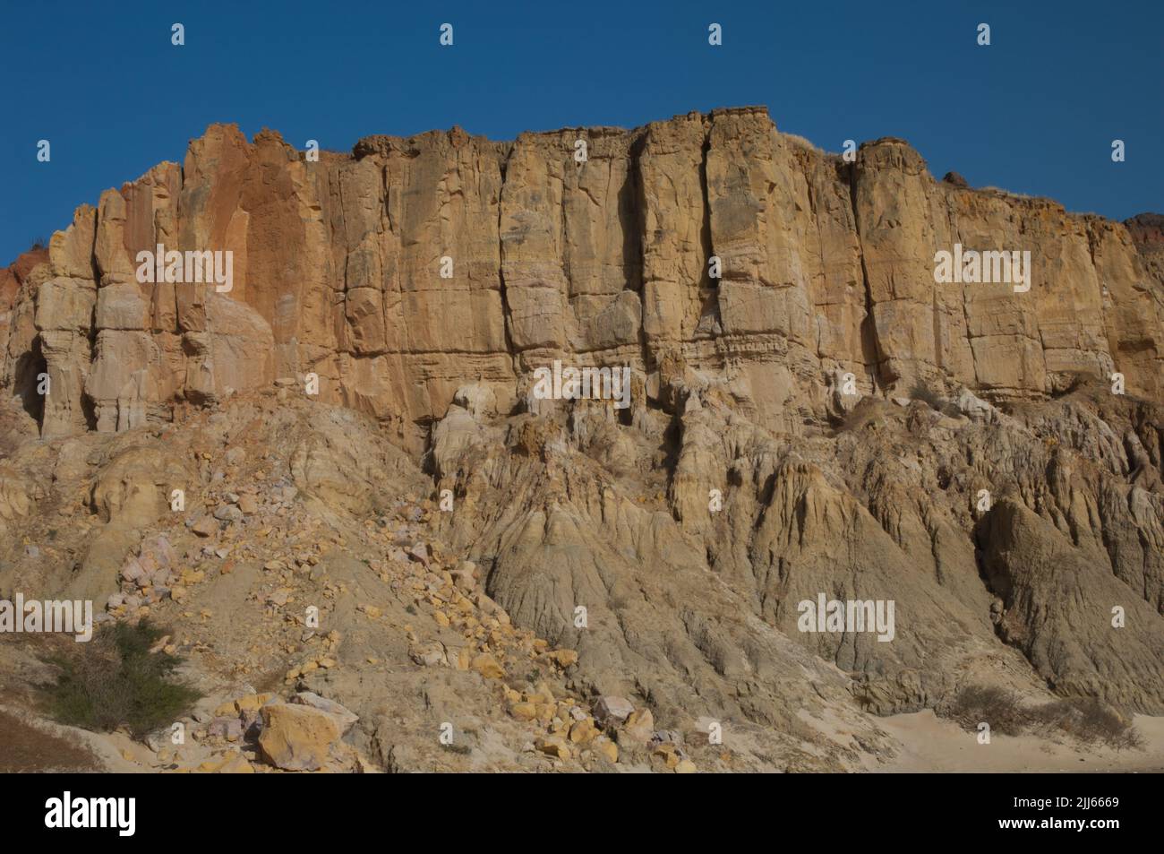 Petite cote of senegal hi-res stock photography and images - Alamy