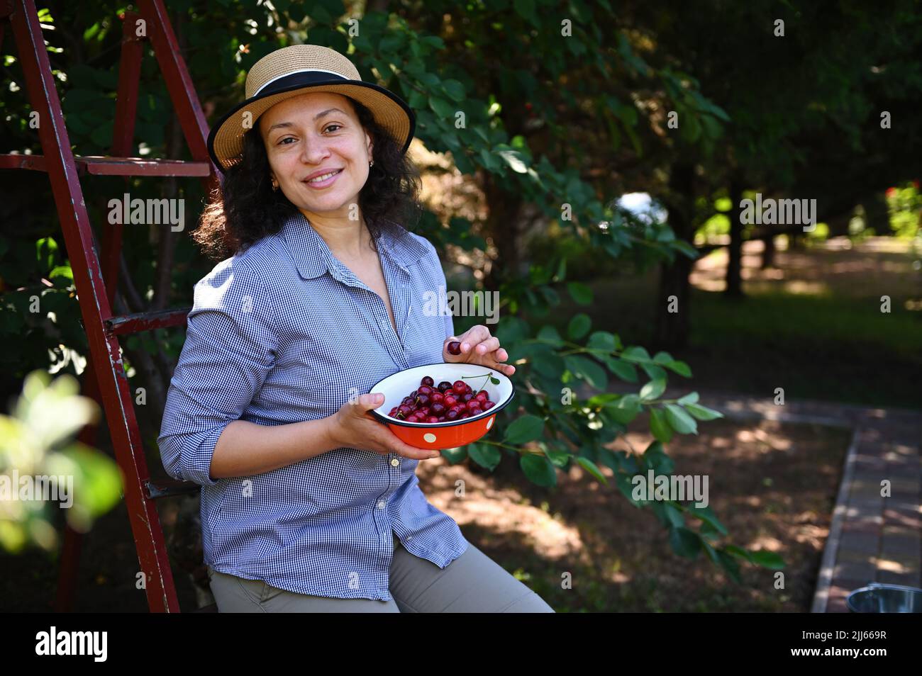Beautiful Caucasian woman sitting on a ladder and eating sweet ripe ...