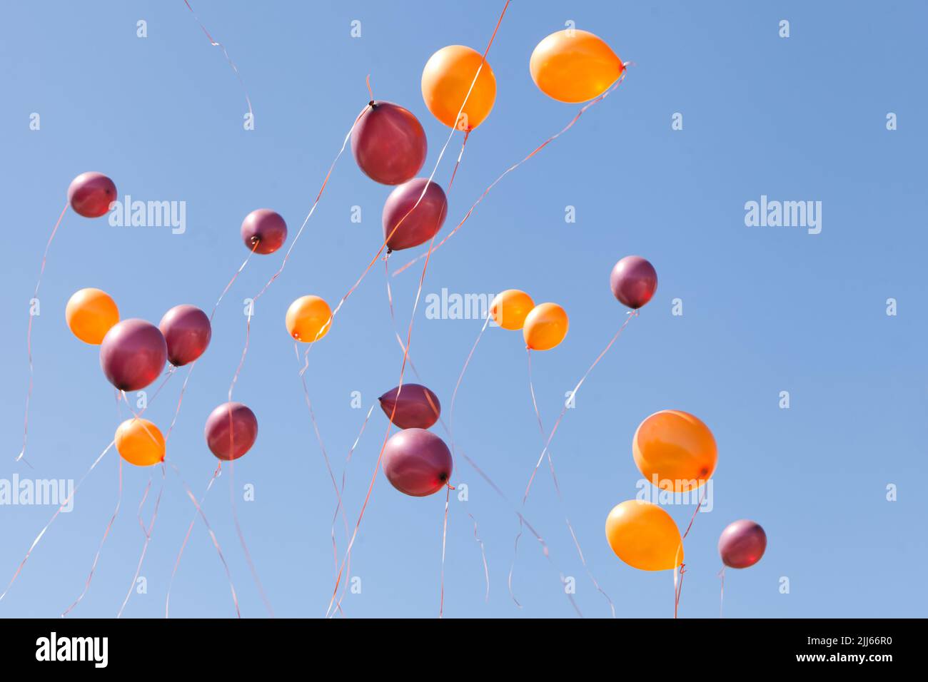 Real Birthday Balloons In Sky