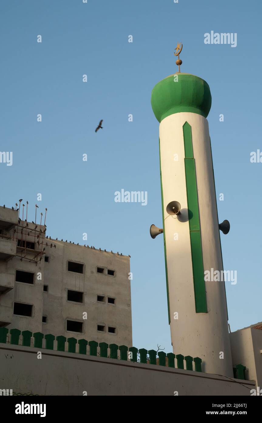 Minaret of a mosque and black kites Milvus migrans perched on the roof ...