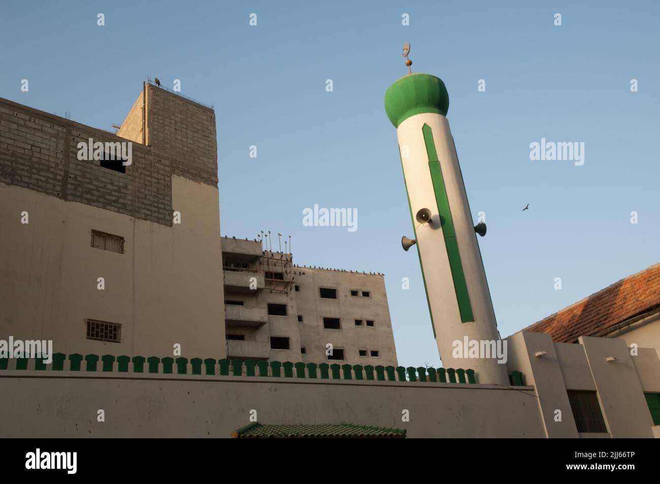 Minaret of a mosque and black kites Milvus migrans perched on the roof ...