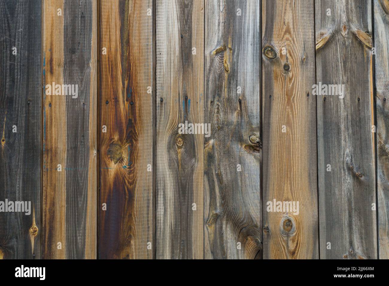 Texture seamless wooden board hi-res stock photography and images - Alamy