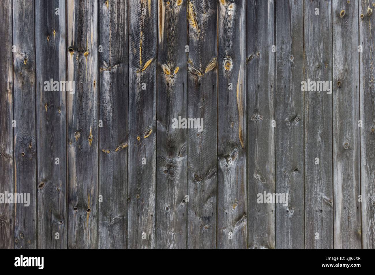 Texture seamless wooden board, high quality Stock Photo - Alamy