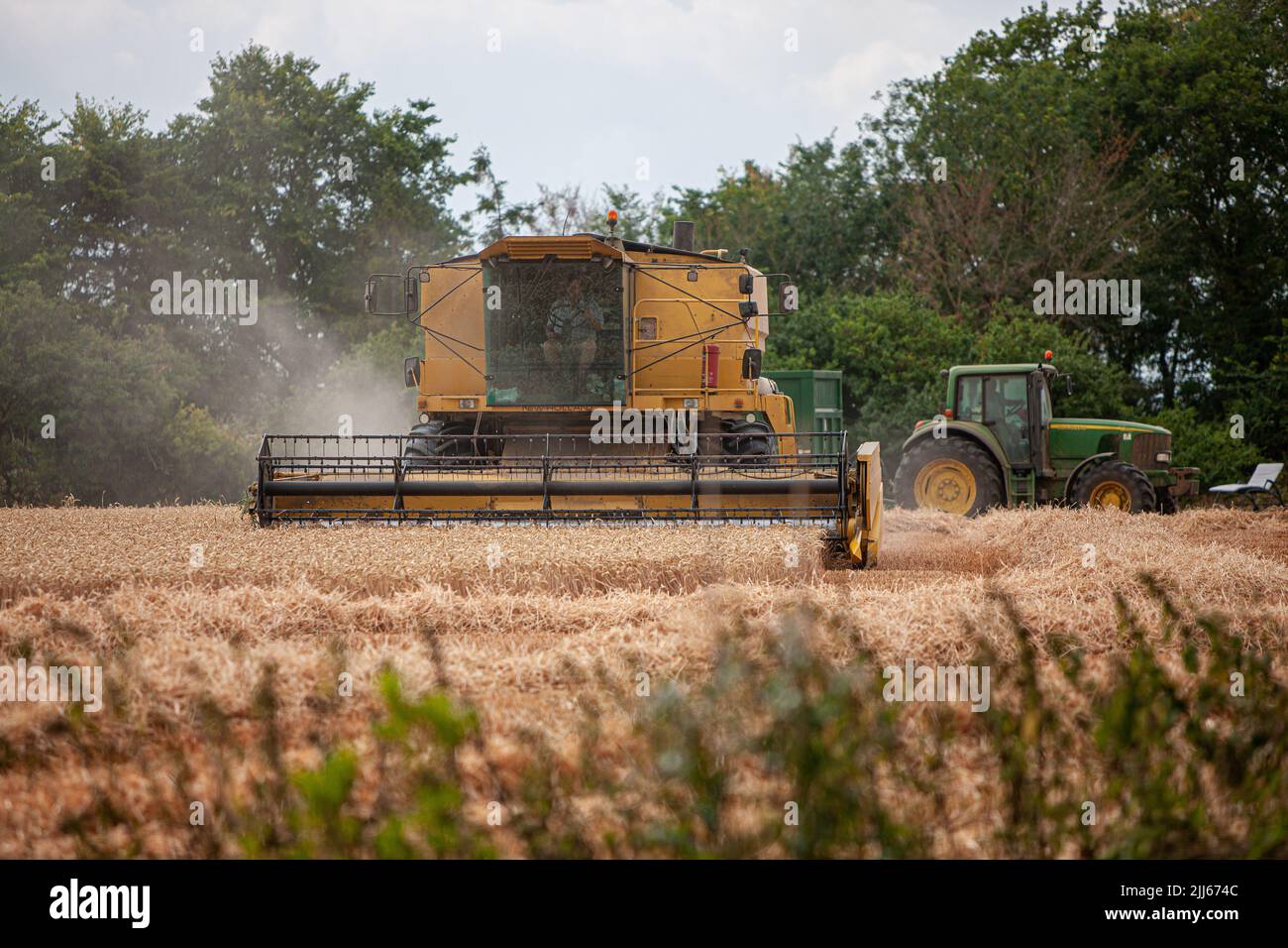 harvesting wheat in norfolk combine harvester new holland tx 36 Stock ...