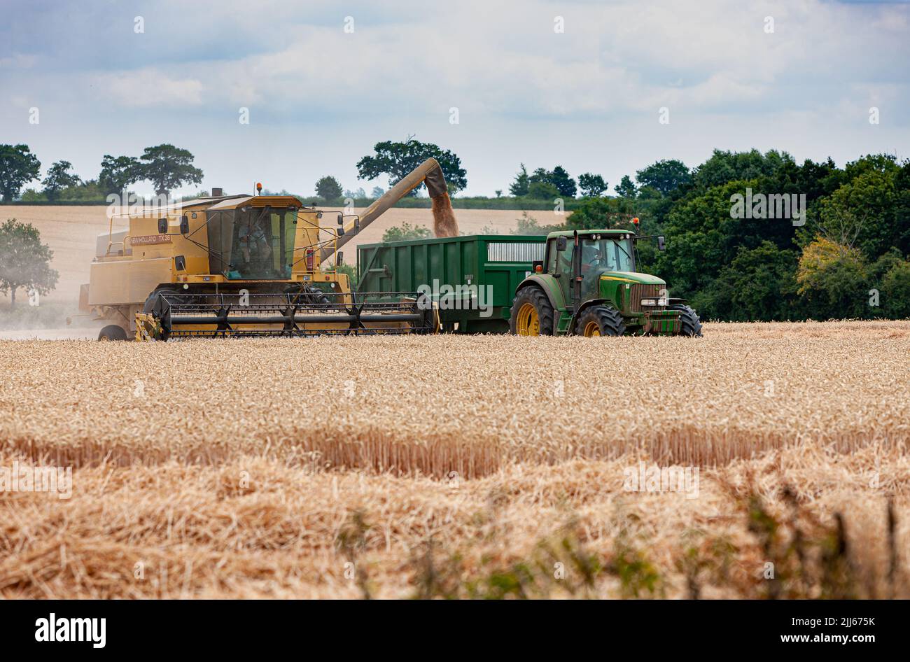 harvesting wheat in norfolk combine harvester new holland tx 36 Stock ...