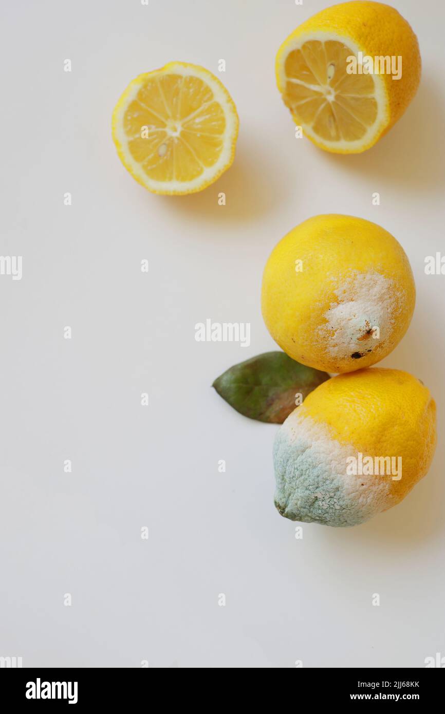 Mould mouldy texture fruit old hi-res stock photography and images - Alamy