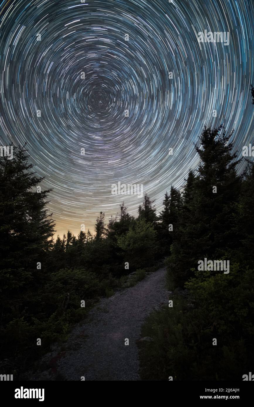 Star trails in the spruce woods atop the summit of Spruce Knob during a ...