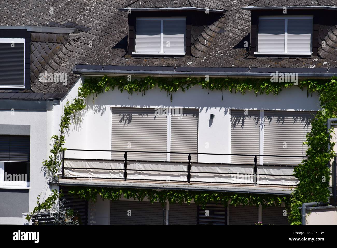 Vine around window hi-res stock photography and images - Alamy