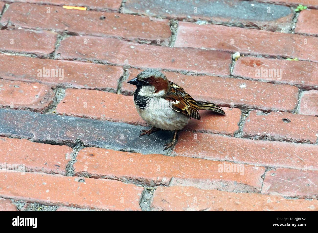 Lon 71 05556700 hi-res stock photography and images - Alamy