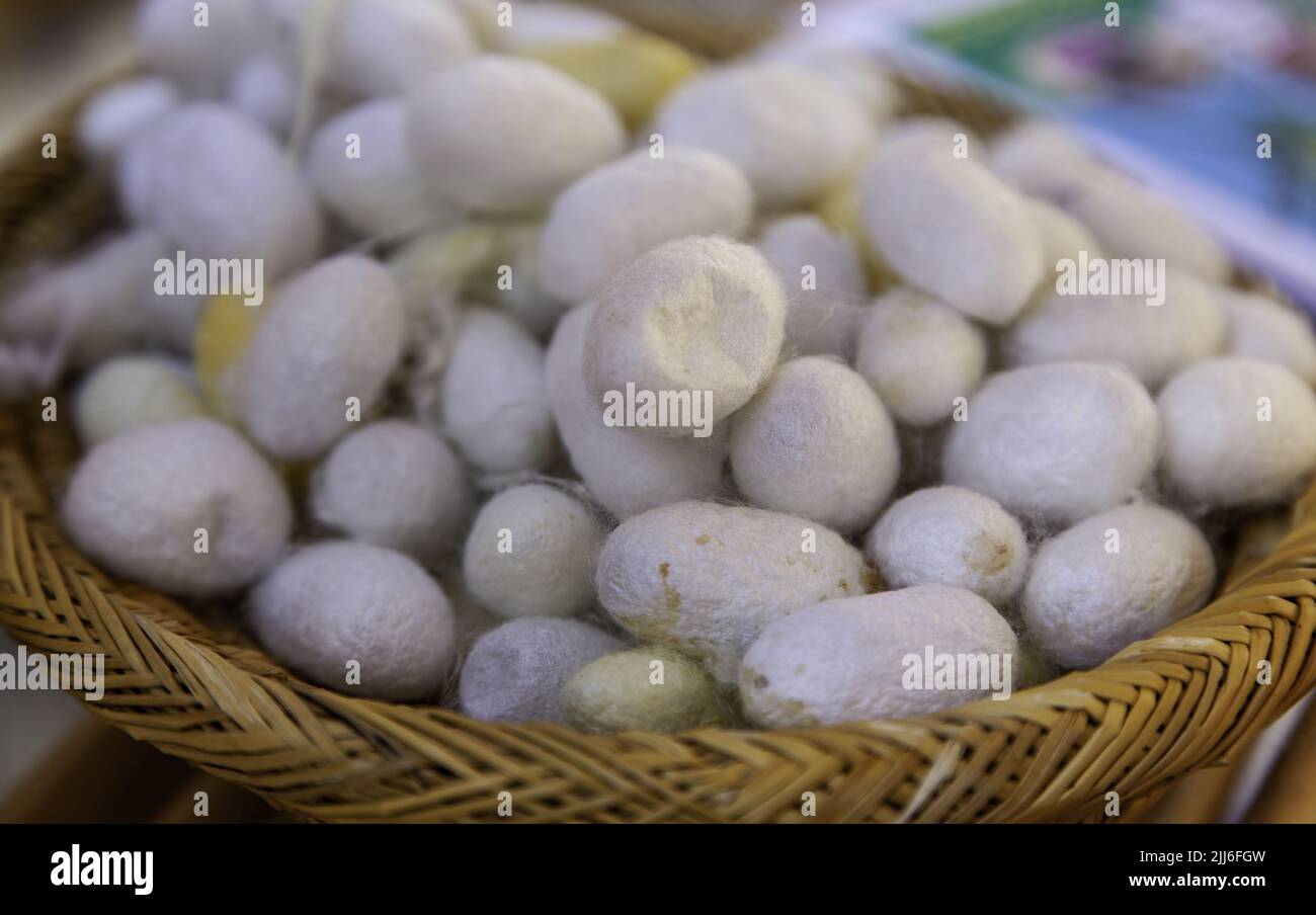 Animal production hi-res stock photography and images - Alamy