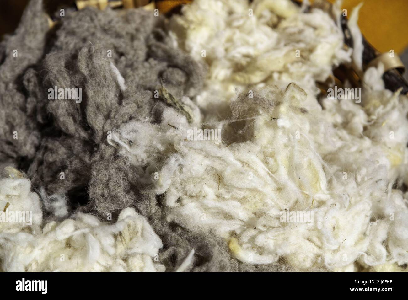 Raw sheep wool detail, traditional art Stock Photo - Alamy