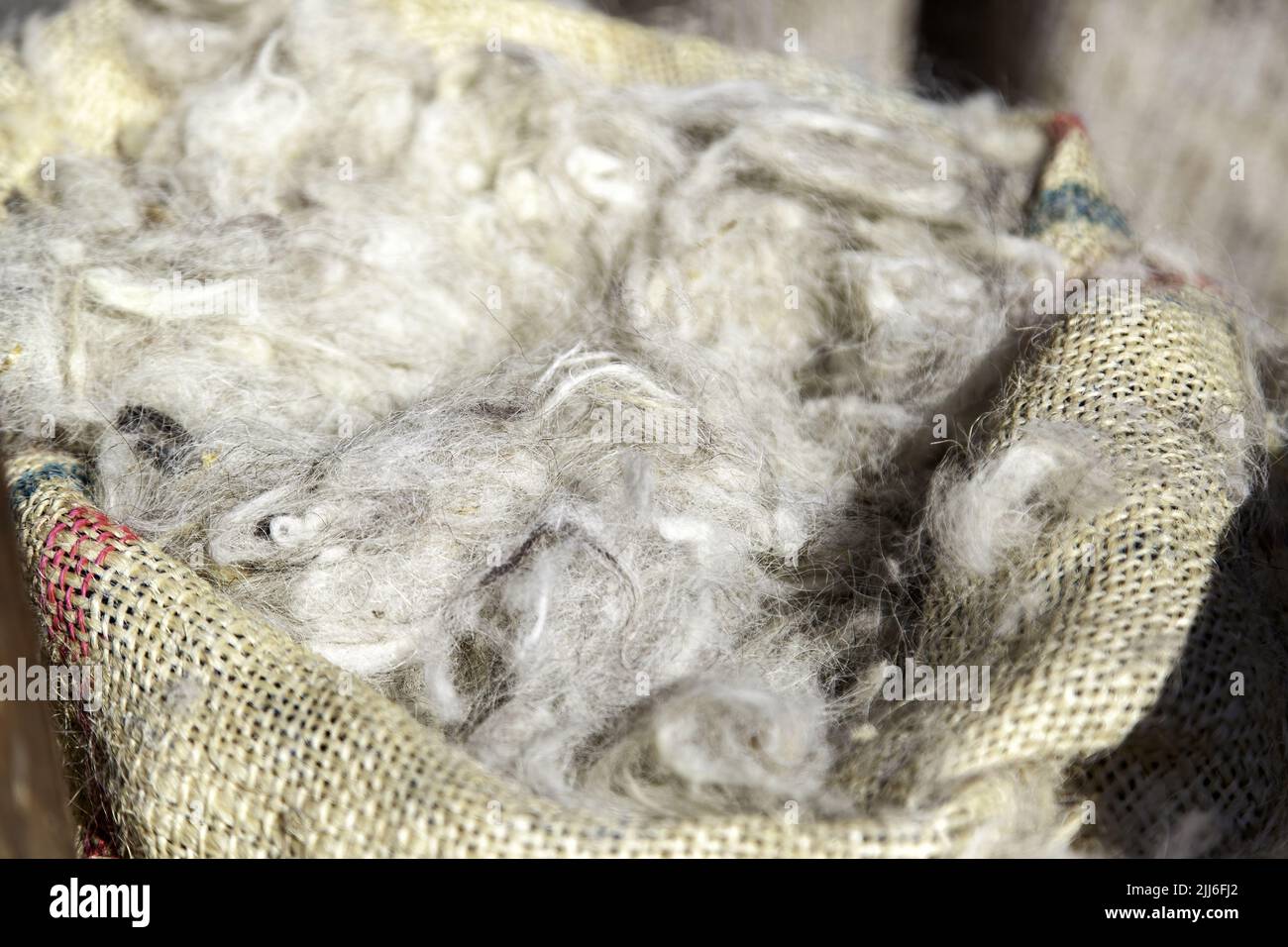 Raw sheep wool detail, traditional art Stock Photo - Alamy
