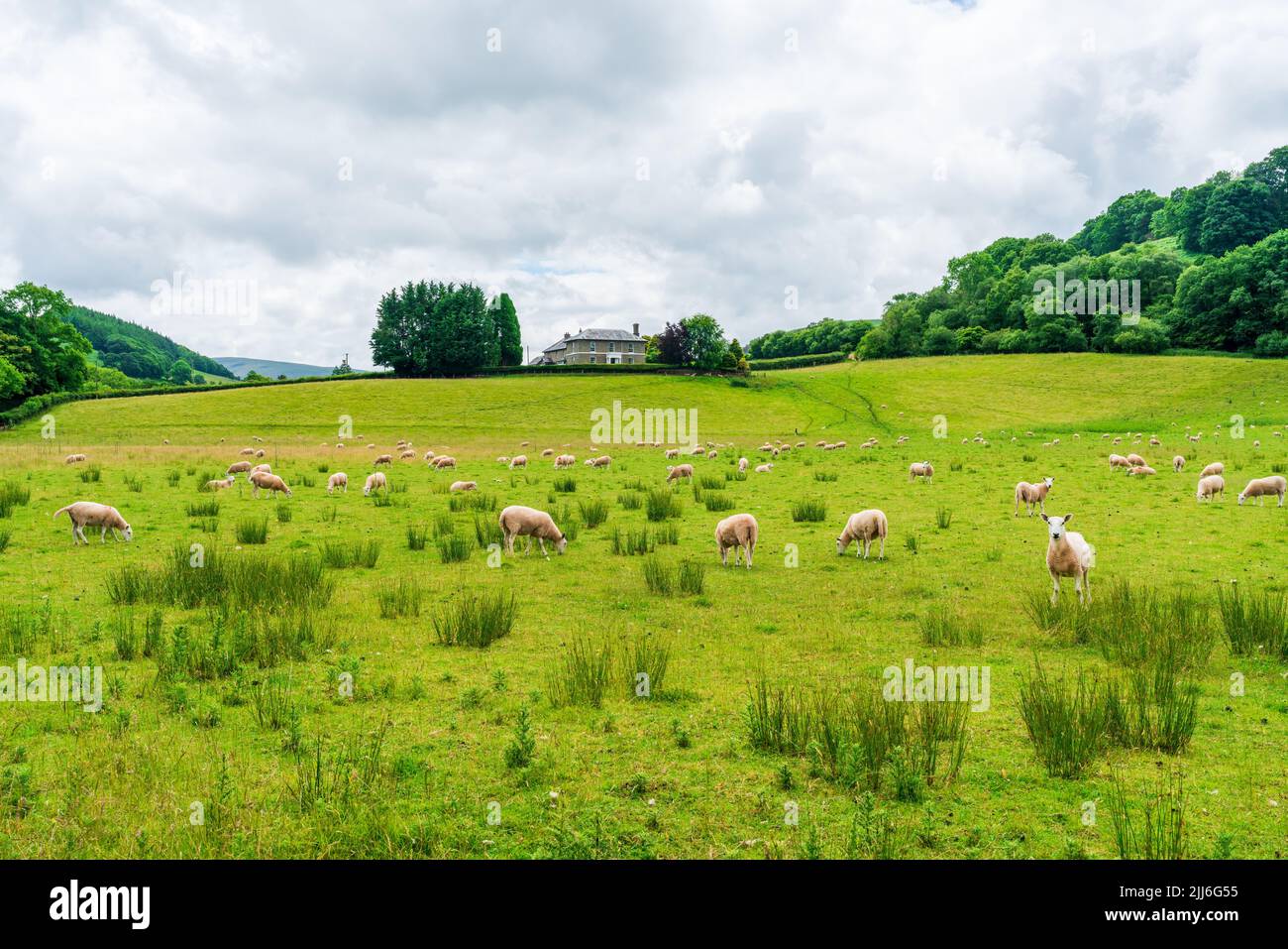 Sennybridge hi-res stock photography and images - Alamy