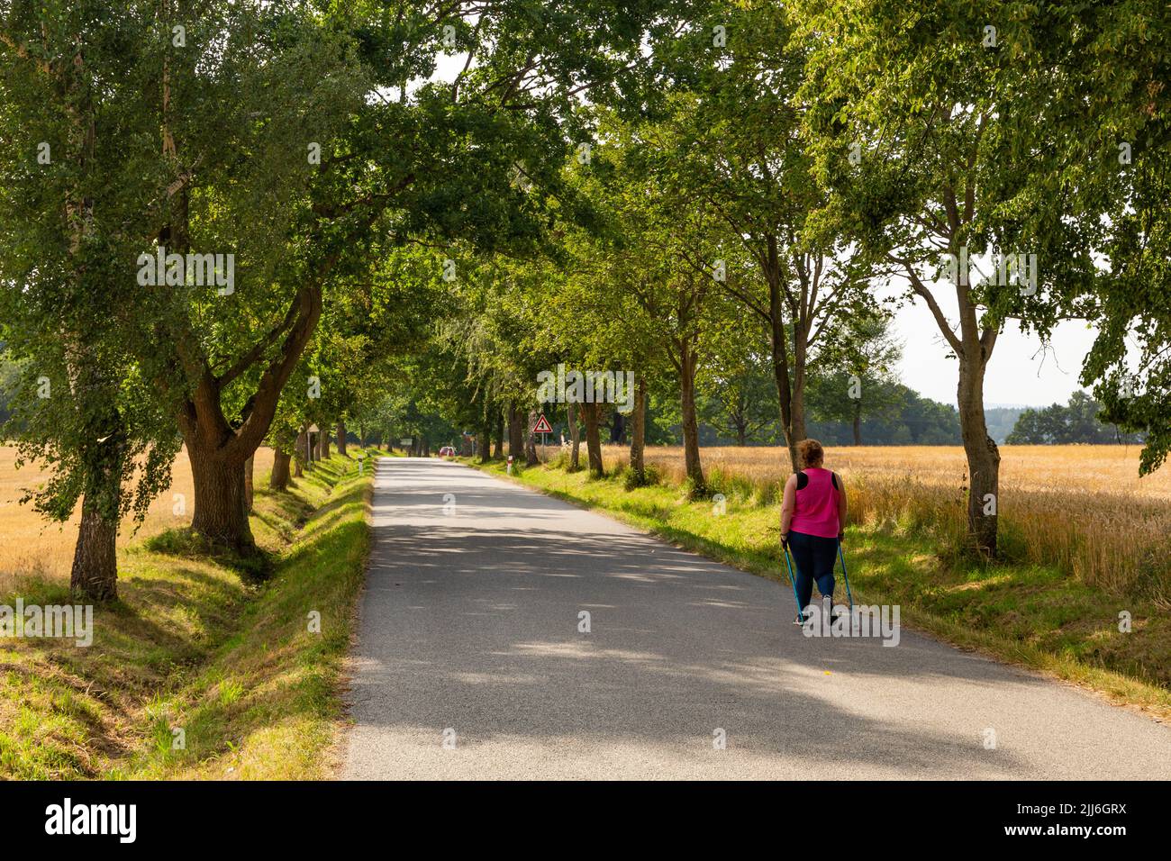 Woman walks on the road with scandinavian sticks. Nordic walking Stock ...