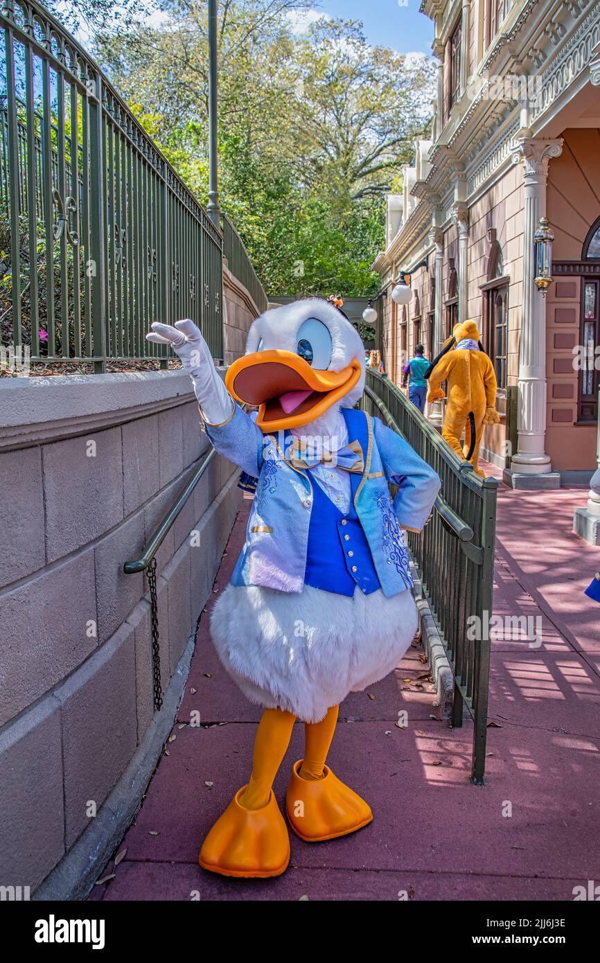 Donald Duck character at DIsney Magic Kingdom in 50th celebration ...