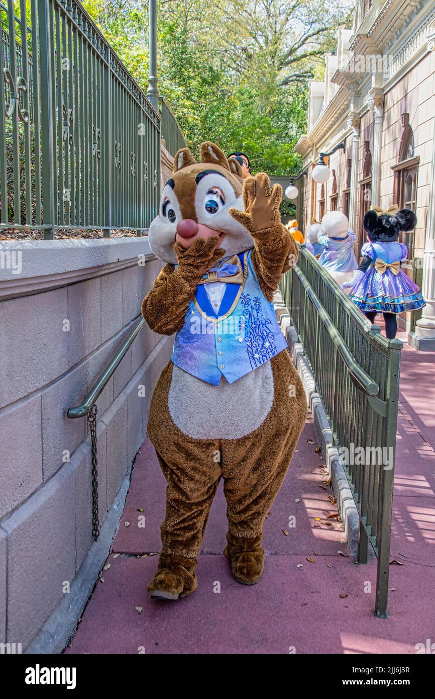 Dale character at DIsney Magic Kingdom in 50th celebration outfit Stock ...