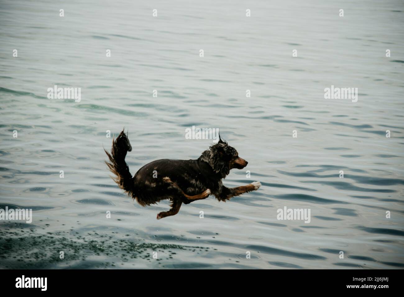 Wet air hi-res stock photography and images - Alamy