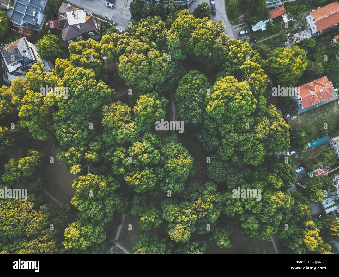An aerial view of a green city with beautiful nature Stock Photo - Alamy