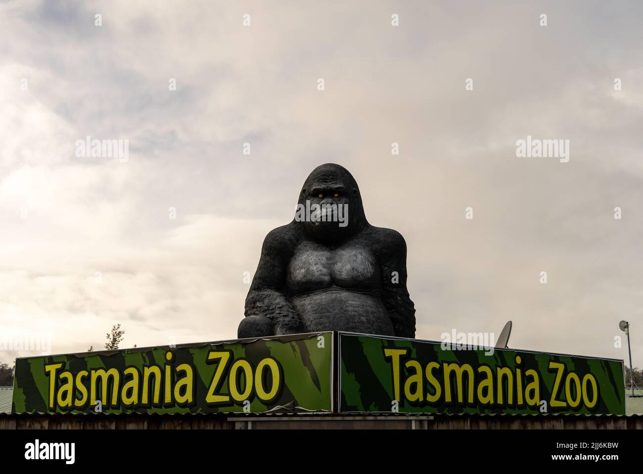The Tasmania Zoo entrance with a gorilla in Launceston, Australia Stock ...