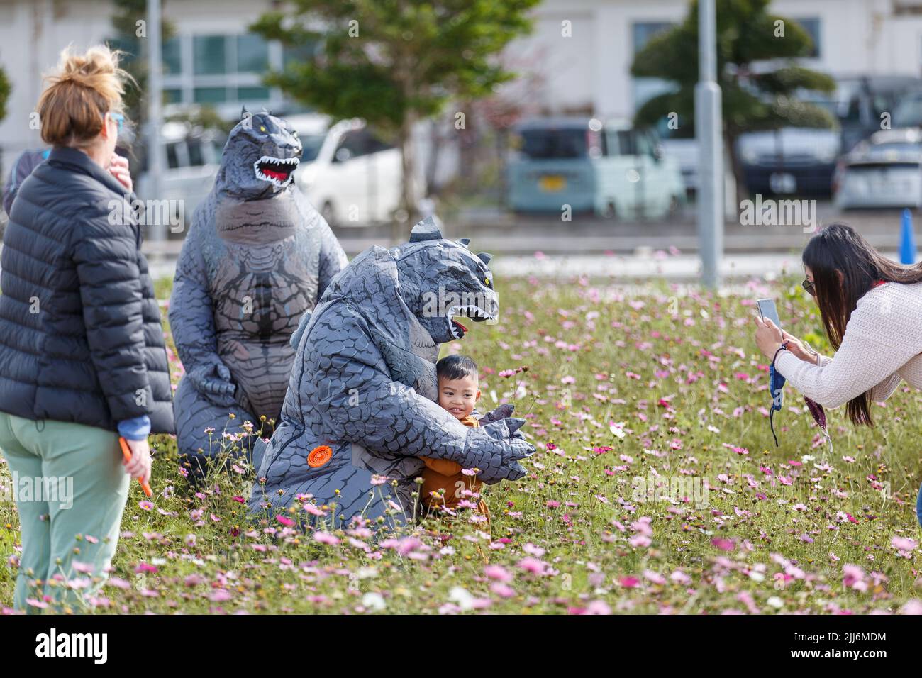 The view of Godzilla characters playing with kid in the meadow and ...