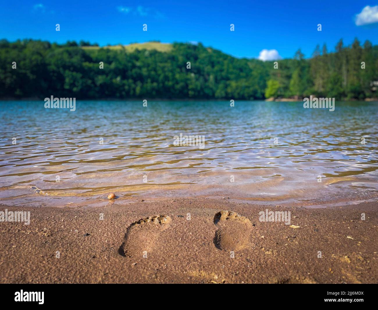 The large right and left footprints on the sandy lakeshore with green ...