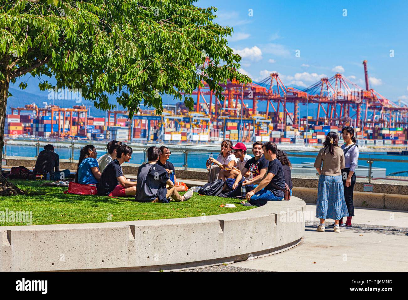 Group of international students talking under a tree on the Vancouver ...