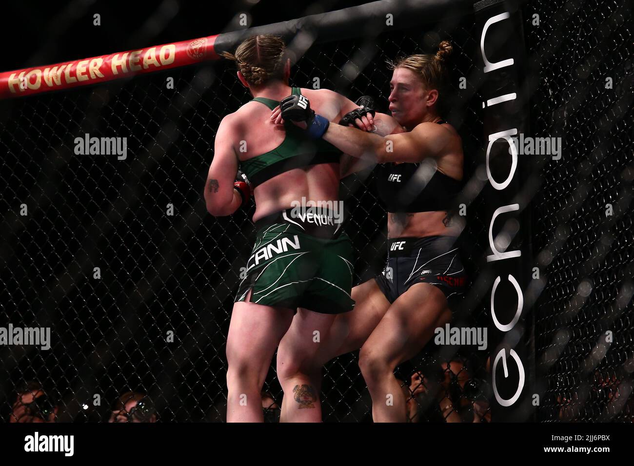 Elbow live o2 arena hi-res stock photography and images - Alamy