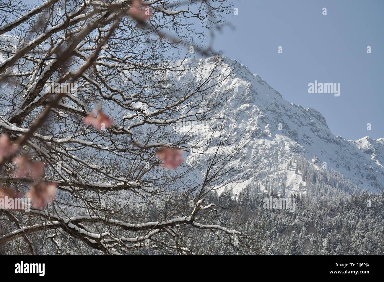 the beginning of spring in the Alps with snow-covered mountain range ...