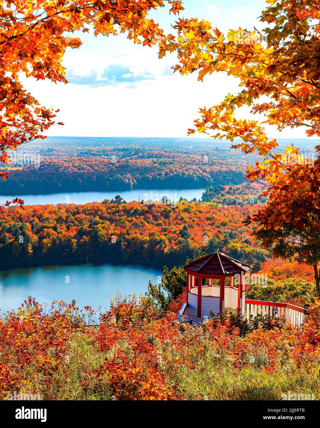 A mesmerizing view of the small lakes and fall trees in Newfoundland ...