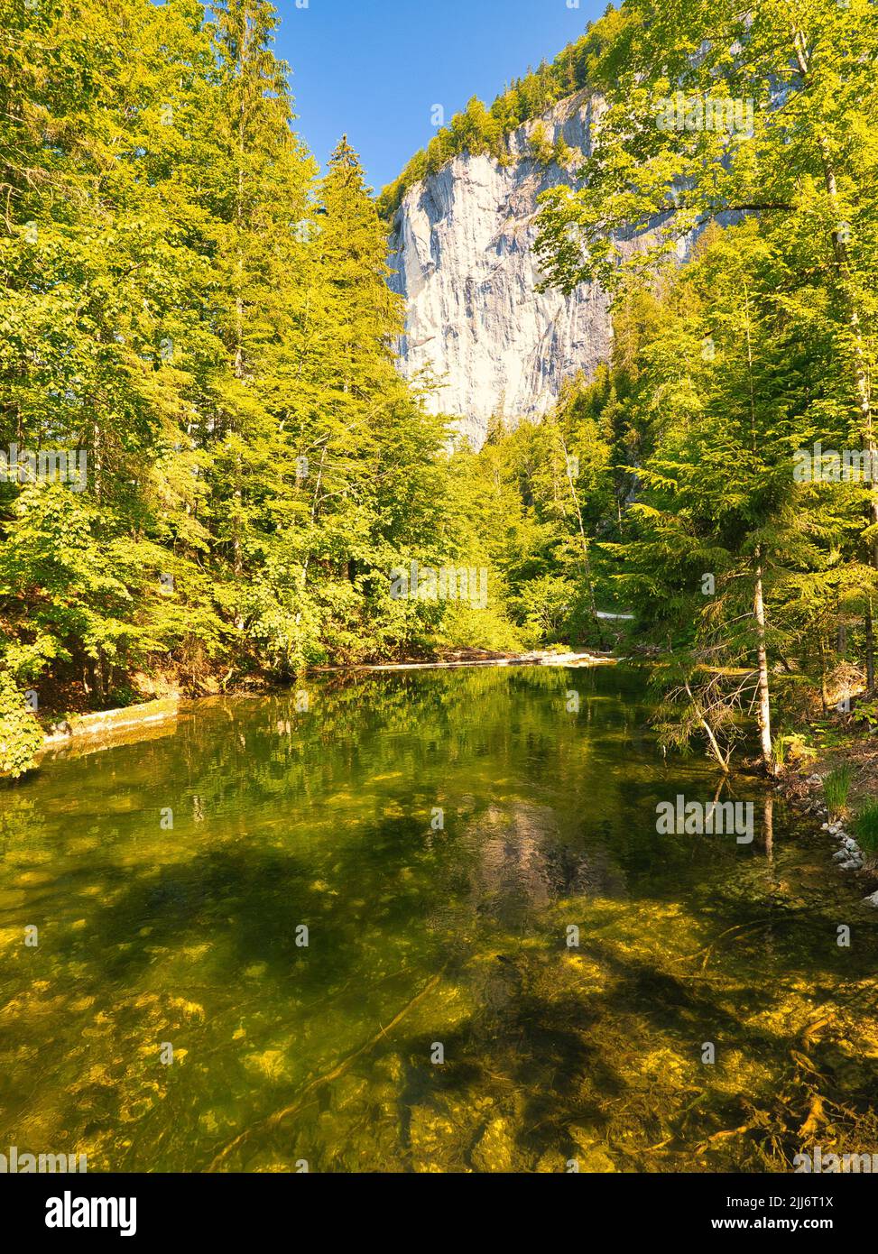 A beautiful shot at the Toplitzsee in the Ausseer Land in the Styrian ...